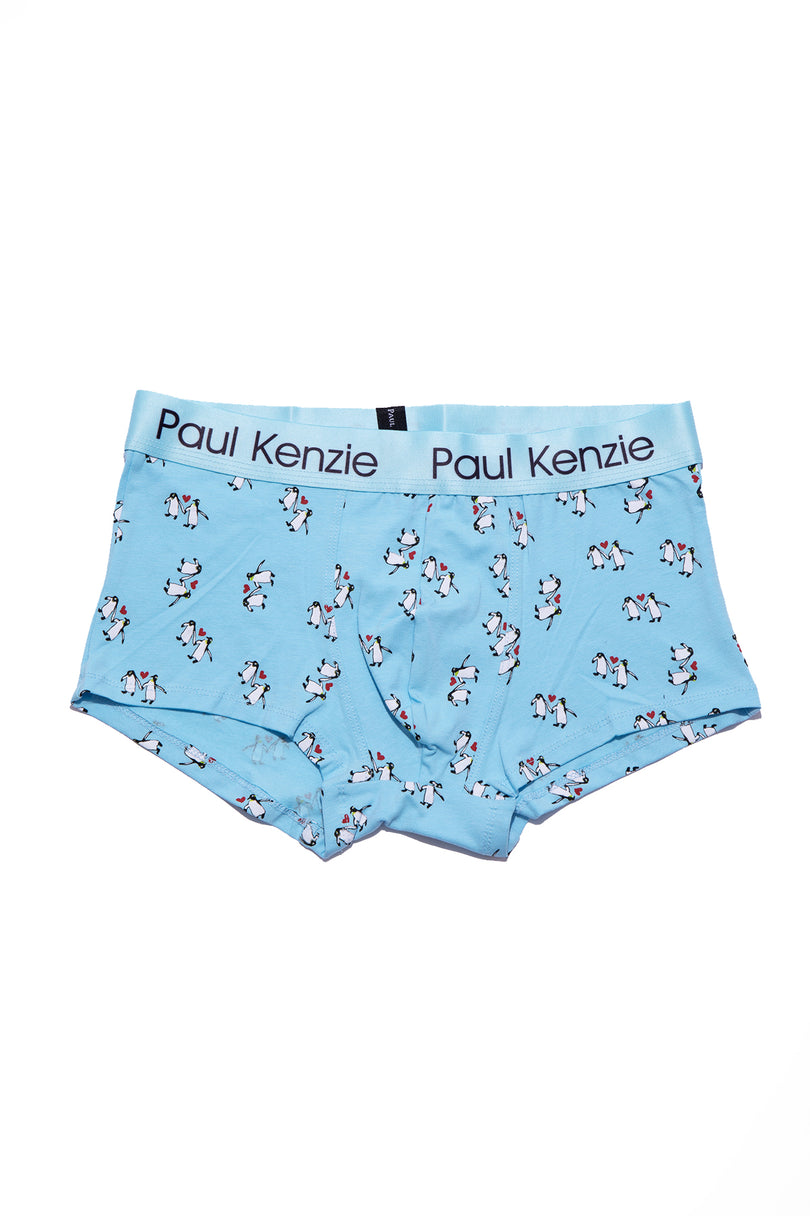 Erkek Trunk Boxer - Penguin Love – Paul Kenzie